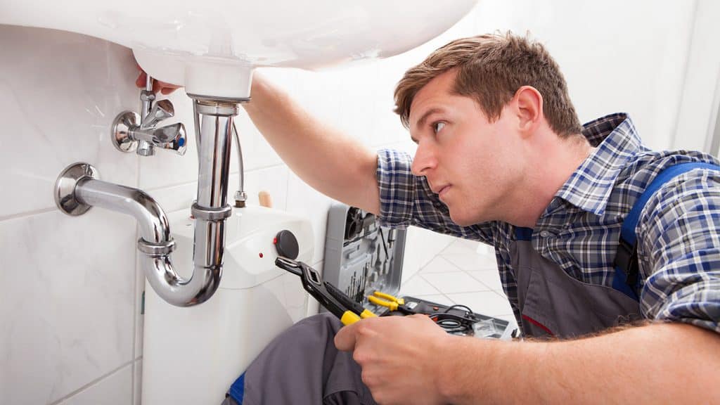 Karriere – Smieja Innenausbau